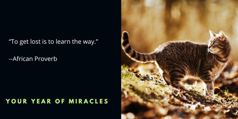 Blog - Your Year of Miracles